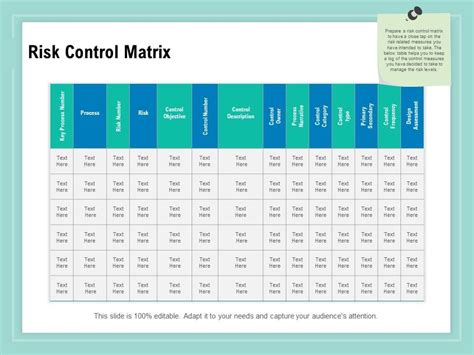 Vulnerability Assessment Methodology Risk Control Matrix Ppt Portfolio Infographics Pdf