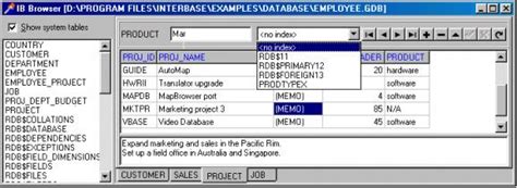 ib browser download softpedia