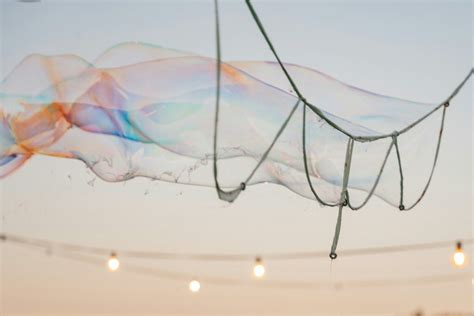 Regímenes Tributarios Y Obligaciones Fiscales Para Empresas Agrícolas