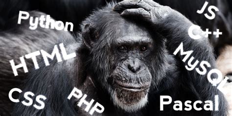 Nodejs Vs Python Which One Is Better