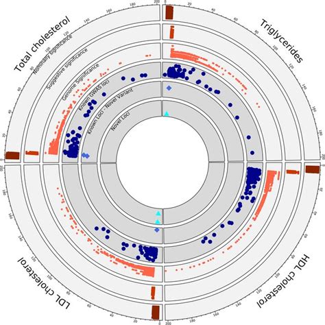 summary of single variant genome wide association representation of