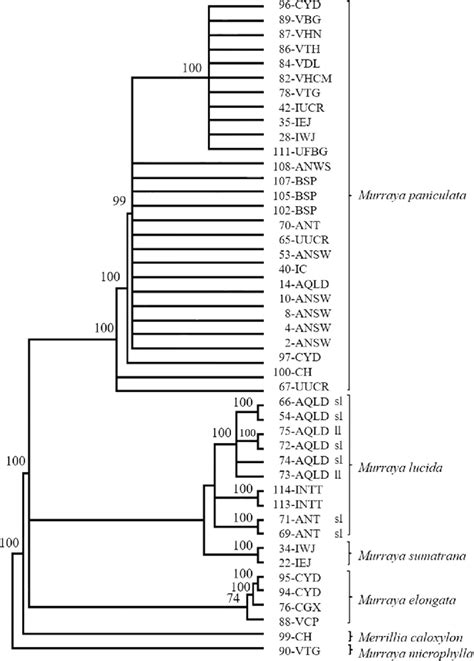 bayesian inference tree based on the its region combined with 6