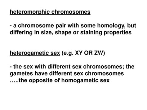 PPT SEX DETERMINATION PowerPoint Presentation Free Download ID 6389287