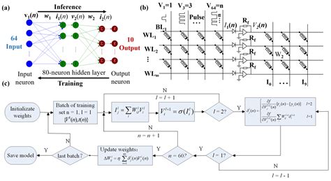 Organic Memristor With Synaptic Plasticity For Neuromorphic Computing