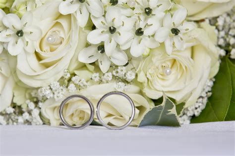 무료 이미지 화이트 꽃잎 꽃다발 혼례 플로라 꽃들 반지 플로리스트 리 꽃 피는 식물 꽃을 자르다 흰 장미 부틱의 플로랄 디자인 육상 식물 꽃꽂이