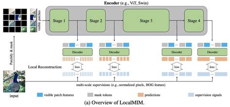 【cvpr2023】masked Image Modeling With Local Multi Scale Reconstruction 知乎