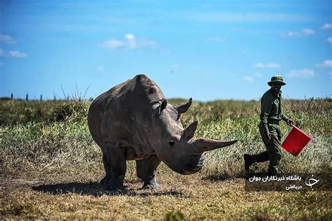 عکس‌های منتخب جهان ۲۸ شهریور ۱۴۰۳