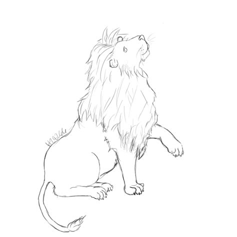 How To Draw A Lion Sitting Up