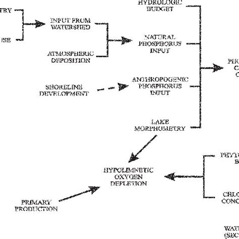 Conceptual Model Used In The Lakeshore Capacity Model Of The