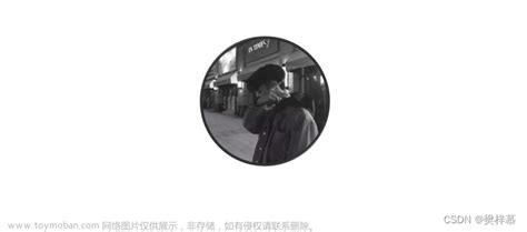 【leetcode】【数据结构】二叉树必刷oj题 Toy模板网 【leetcode】【数据结构】二叉树必刷oj题 Toy模板网