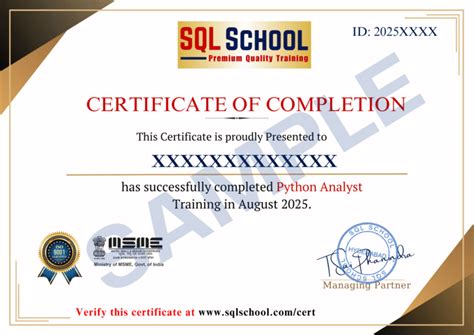 Python Analyst Sql School