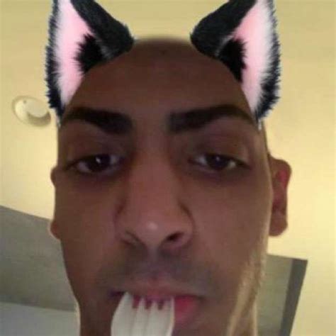 Hey Kitten Cute Funny Pics Funny Emoji Funny Pfps For Discord