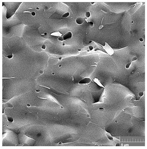 Regenerative Potential Of Hydroxyapatite Based Ceramic Biomaterial On