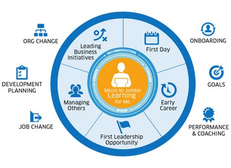 Knowledge Base Software Application Workday Learning