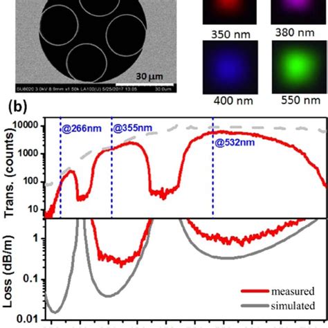 Pdf Hollow Core Negative Curvature Fiber For Uv Guidance