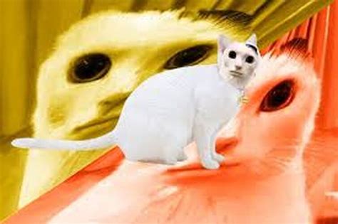 Centaura Cetus House Of Tau Riaa Cetustauriaa Fandom