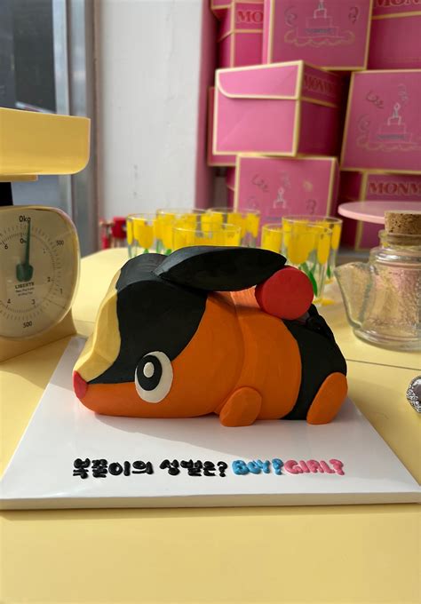 복꿀이 젠더리빌 케이크 파티
