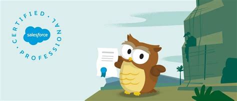 盘点2022年salesforce新增了哪些认证？ 知乎