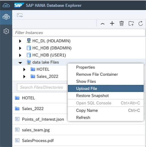 Export and Import Data and Schema with SAP HANA Database Explorer | SAP Tutorials