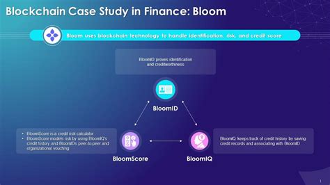 Blockchain Technology Case Study On Credit Score And Risk Modelling Training Ppt PPT PowerPoint