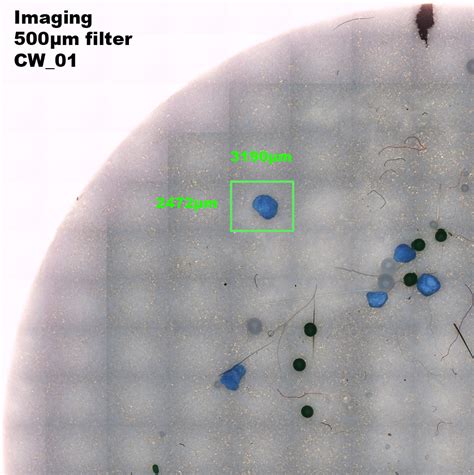 Microplastics Isolation And Characterization Barnett Technical Services