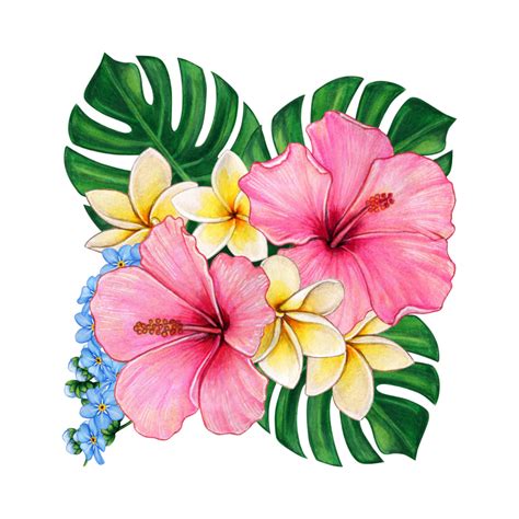 Hawaii Shirt Pngs For Free Download