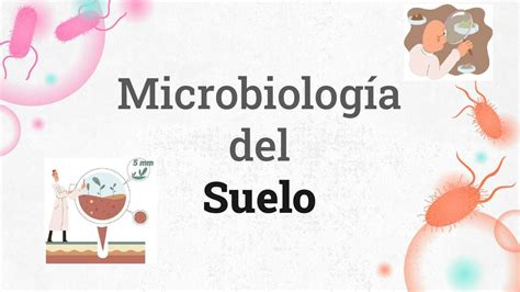 Microbiología Del Suelo Samantha Shernandez Udocz