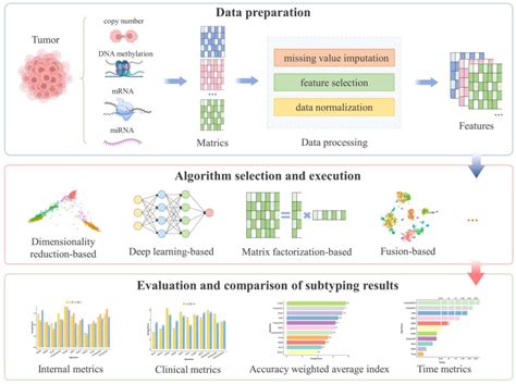 Comprehensive Evaluation Of Multi Omics Clustering Algorithms For