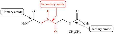Amide Examples