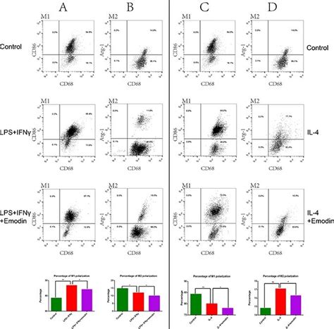 Cd68 Antibodies Antibody Search Engine Citeab