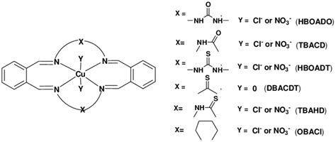 Scheme 1 Representative Structures Of Copper Complex Download