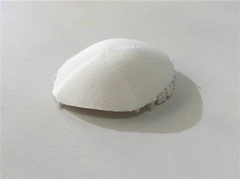 C Image Of A 3d Printed Scleral Cover Shell Prosthesis Using