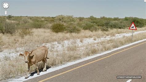 Moving Through Botswana Streetviewfun