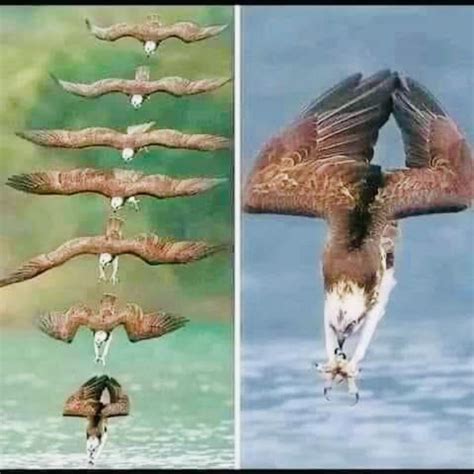 Kazi Saifur Rahman On Linkedin Opportunity Leadership Success