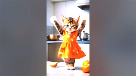 Cats 🐈🐈 Dancing Videos Amazing Dance Videos Short Videos Viral Short Video Animation Videos