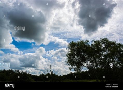 Layers Of Clouds Covering The Sun Above Trees Stock Photo Alamy