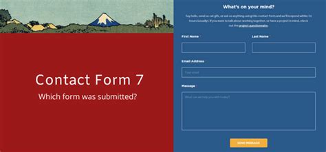 Know Which Contact Form Was Submitted CF Skins Blog