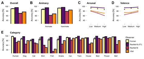 Object Recognition Accuracy Of The Human Observer Sample Fine Tuned Download Scientific