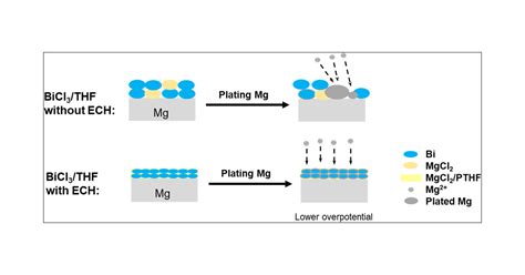 Tailoring A Hybrid Functional Layer For Mg Metal Anodes In Conventional