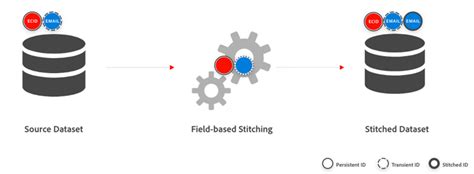 Field Based Stitching Adobe Customer Journey Analytics