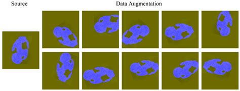 Original Fingerprint Image And Data Augmentation Download Scientific Diagram