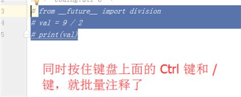 pycharm批量注释及多行取消注释快捷键 Pycharm