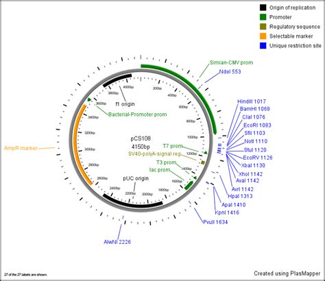 Terrific Pcs2 Vector Map Pics