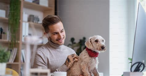 개를 데리고 있는 젊은 사업가는 사무실 실내 책상에 앉아 컴퓨터를 사용하고 있다 사진 Unsplash의 개 이미지