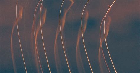 Dynamic Illumination Foundation