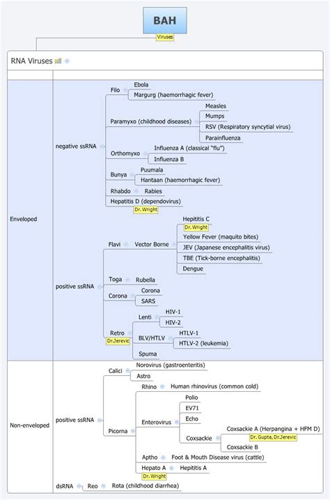 Xmind Share Xmind Mind Mapping Software
