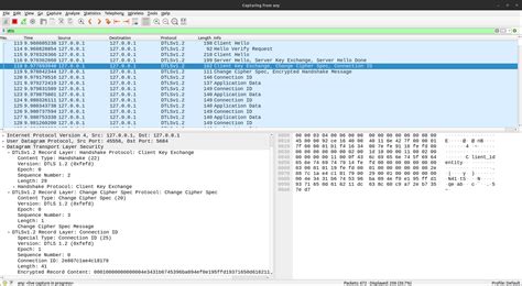 plans for dtls 1 2 connection id · issue 256 · pion dtls · github