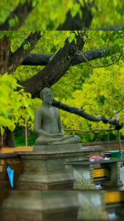 ලොව්තුරා සම්මා සම්බුදු රජාණන් වහන්සේට මාගෙ නමස්කාරය වේවා 🙏 Buddha Youtube