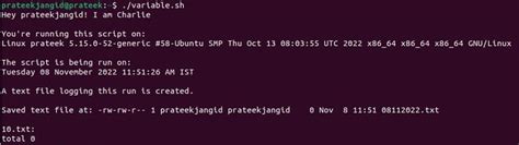 How To Save Command Output As Variable In Bash