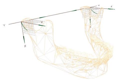 Cartesian Vector Components Axes X Y And Z Of Cadiax Compact 2